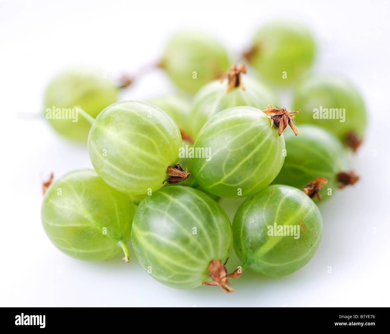 Dessert gooseberry hi-res stock photography and images - Alamy