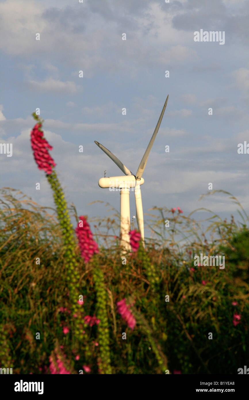 bears down wind farm n power renewables wind turbine energy wind farm ...