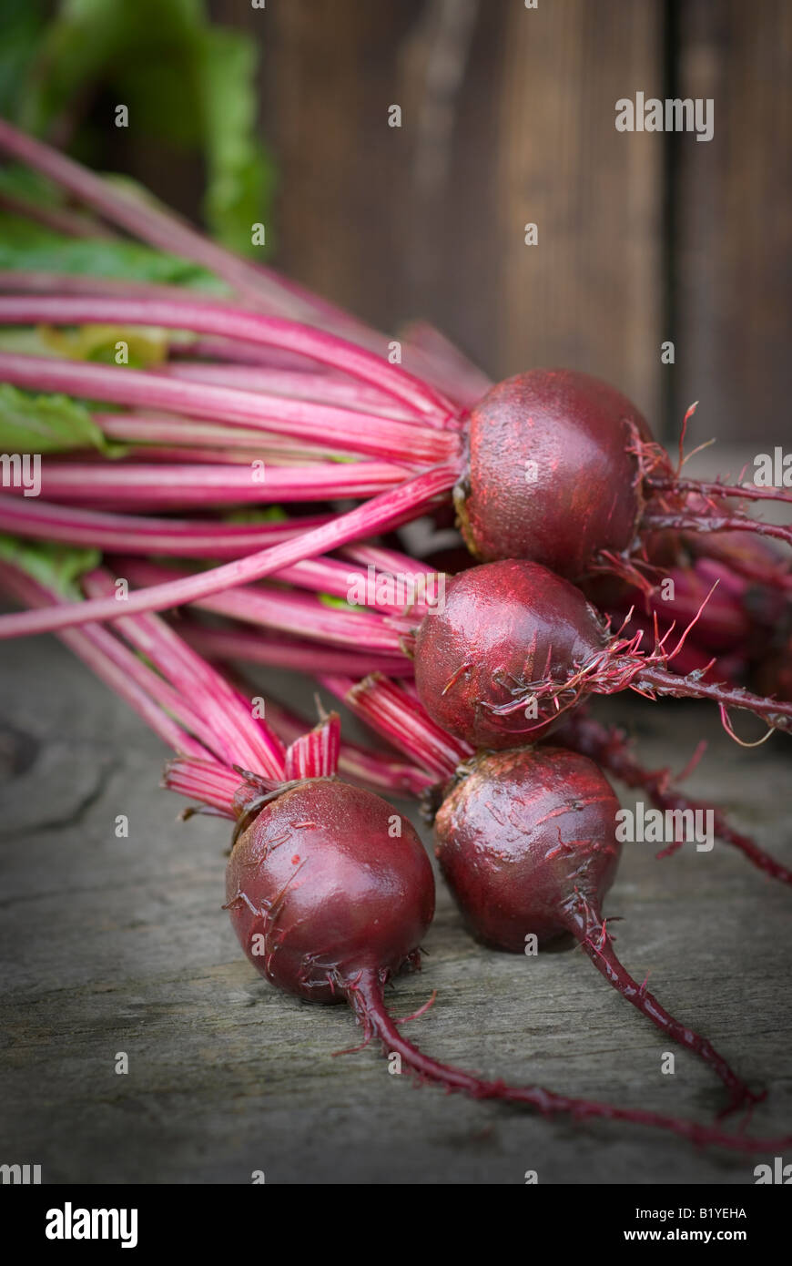 Beetroot uk hi-res stock photography and images - Alamy