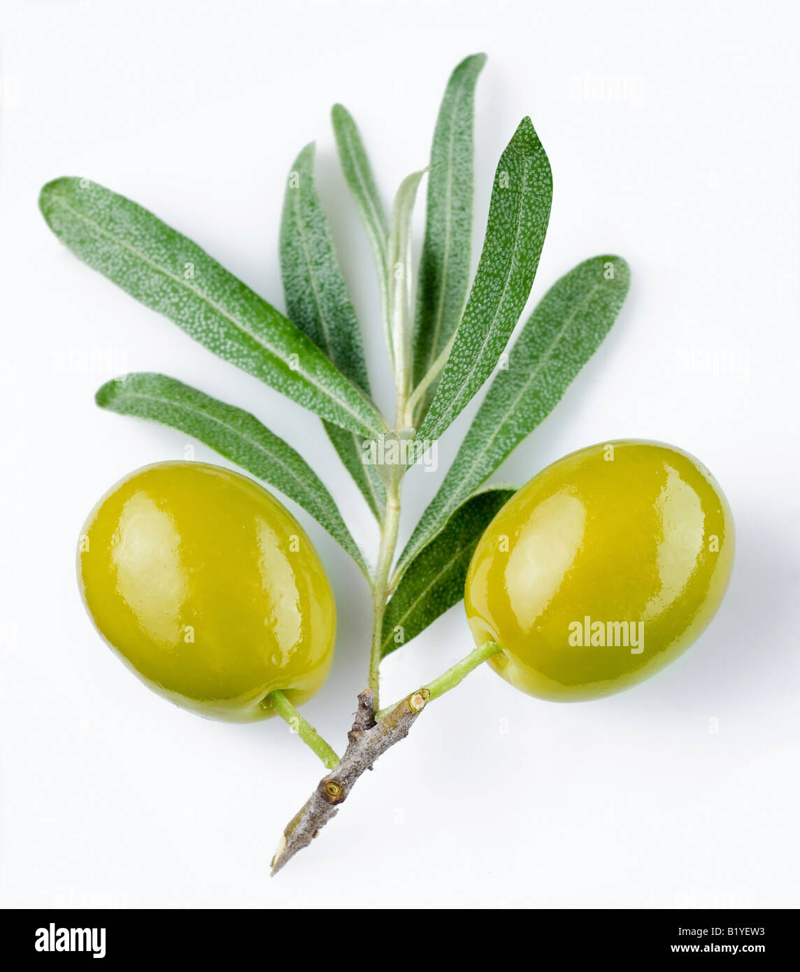 Gourmet olive Cut Out Stock Images & Pictures - Alamy