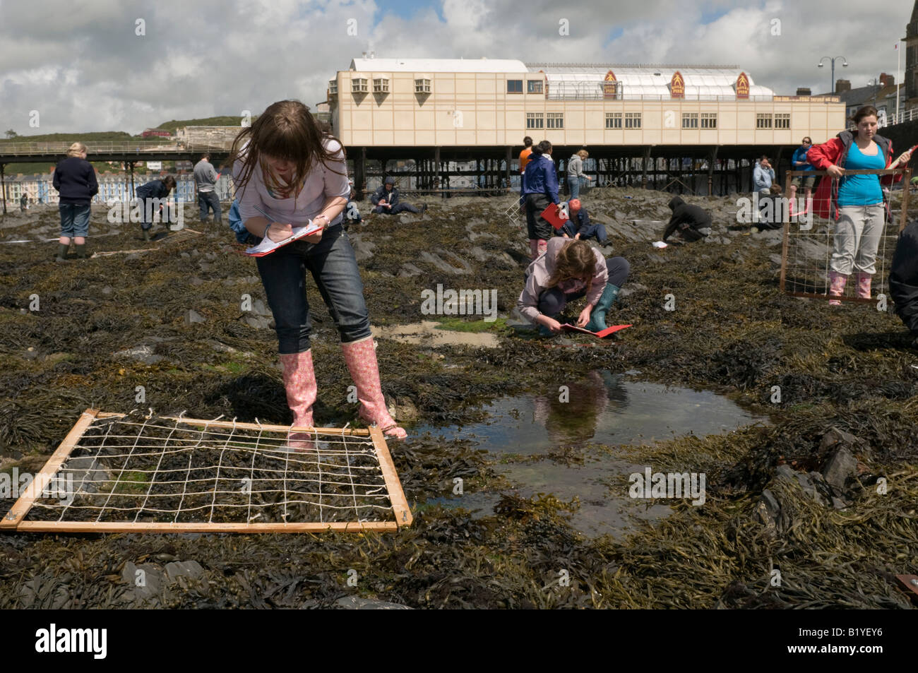 Quadrant ecology hi-res stock photography and images - Alamy