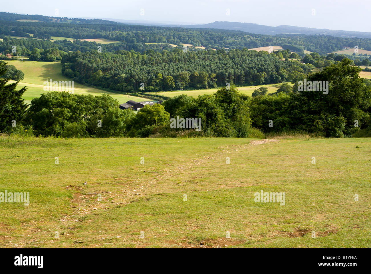 View of the Surrey Hills Stock Photo - Alamy