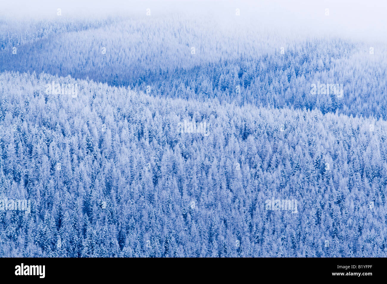View from Silver Star Road following a winter snowfall Stock Photo - Alamy