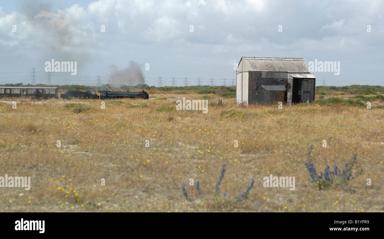 Romney, Hythe and Dymchurch train in Dungeness, Kent Stock Photo - Alamy