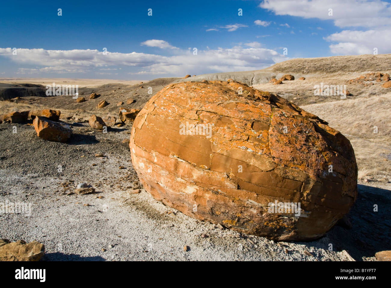 Sandstone concretions in Red Rock Coulee Natural Area, Alberta Stock ...