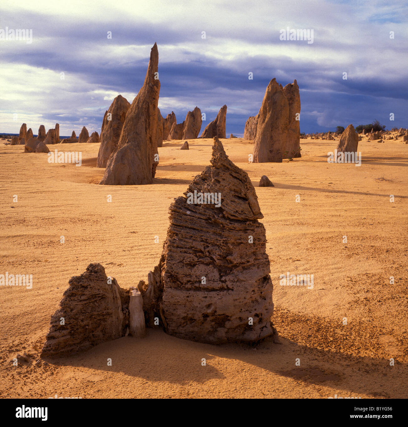 Pinnacle Desert, Nambung National Park, Western Australia Stock Photo ...