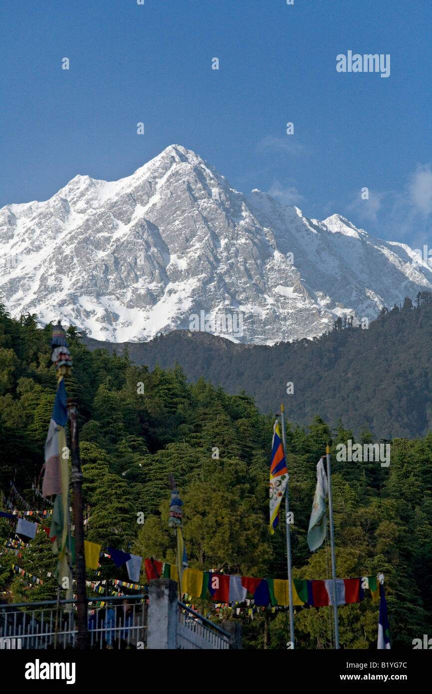 The HIMALAYAN PEAK of TRIUND rises above the British Hill station of ...