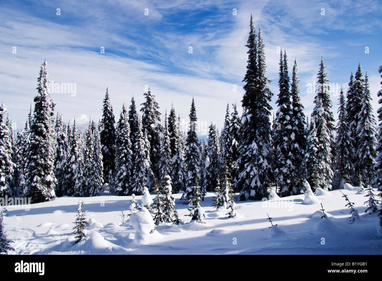 Winter snow on Silver Star Mountain Stock Photo - Alamy