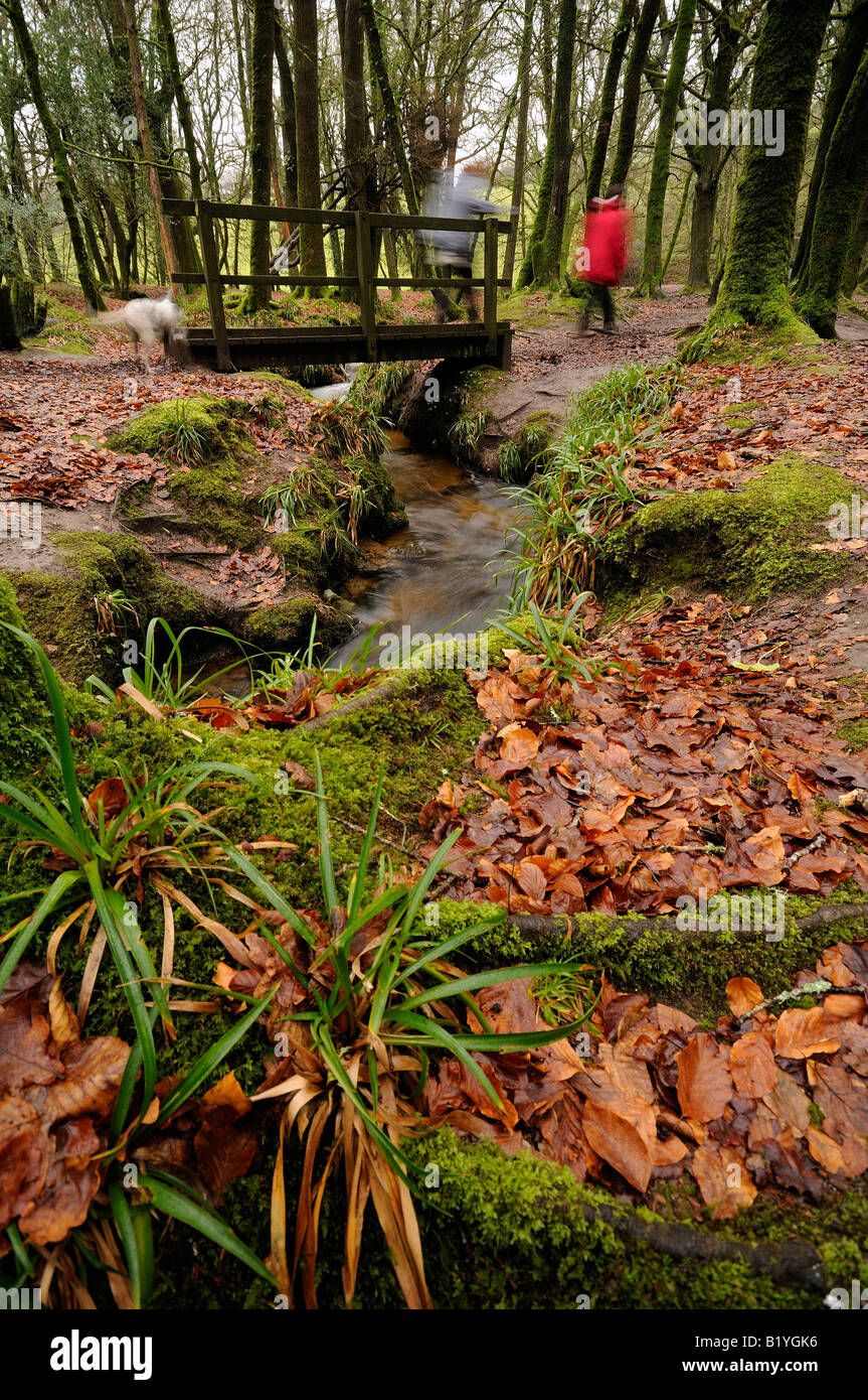 Goliath falls Cornwall Stock Photo - Alamy