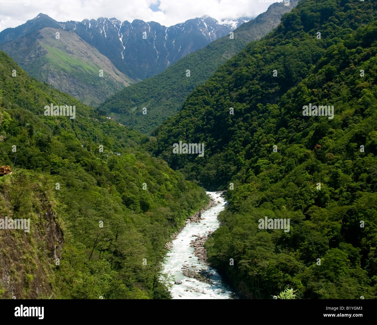 Teesta valley forest hi-res stock photography and images - Alamy