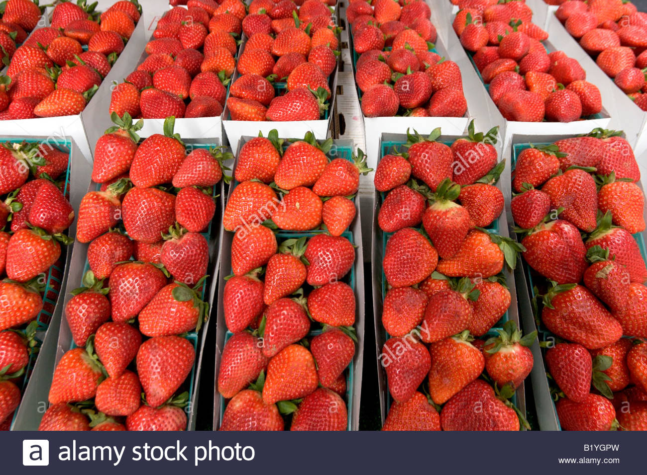 Farmers Market Usa Strawberries High Resolution Stock Photography and ...