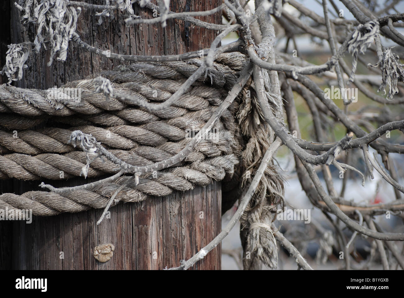 Pillar wrapped with Rope at Harbor Stock Photo - Alamy