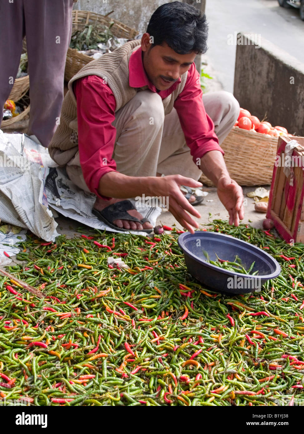 chilies galore in Sikkim India Stock Photo - Alamy