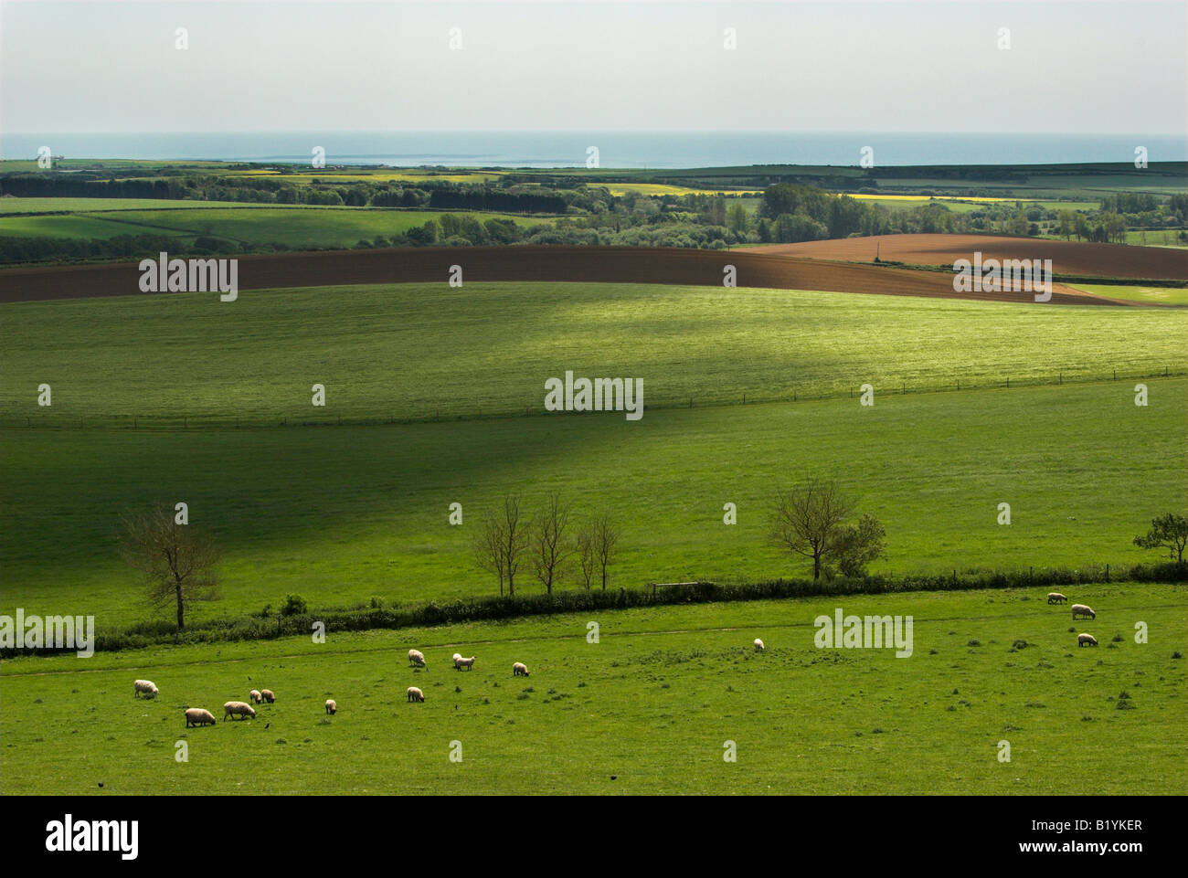 Looking south from Limerstone Down towards the coast on the Isle Of ...