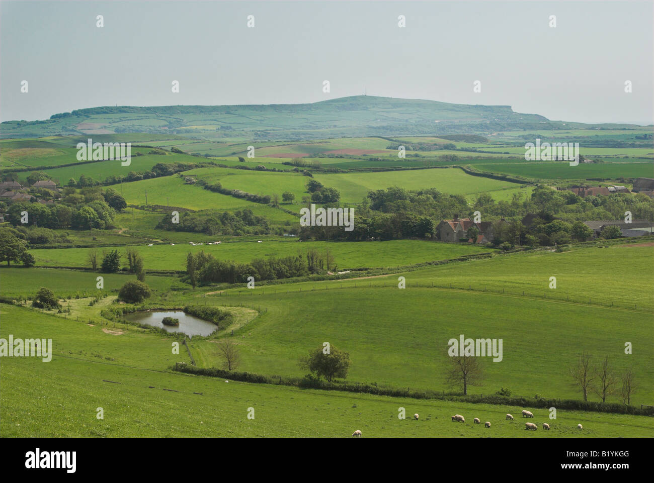 Looking east down towards Shorwell from Limerstone Down on the Isle Of ...
