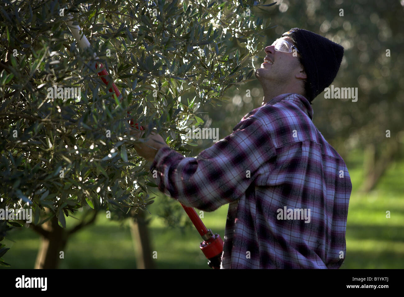 Moutere island hi-res stock photography and images - Alamy