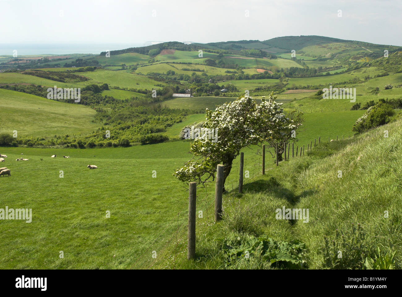 Westover down hi-res stock photography and images - Alamy