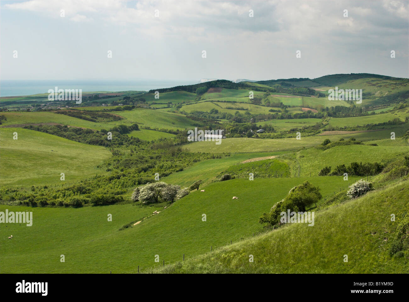 Limerstone down hi-res stock photography and images - Alamy