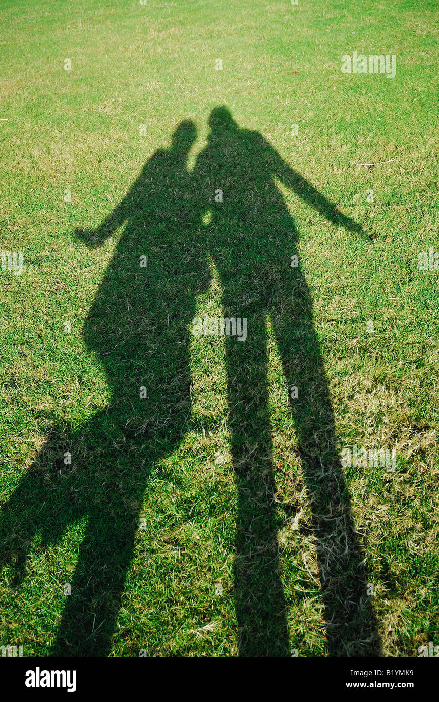 Shadows on Grass Stock Photo - Alamy