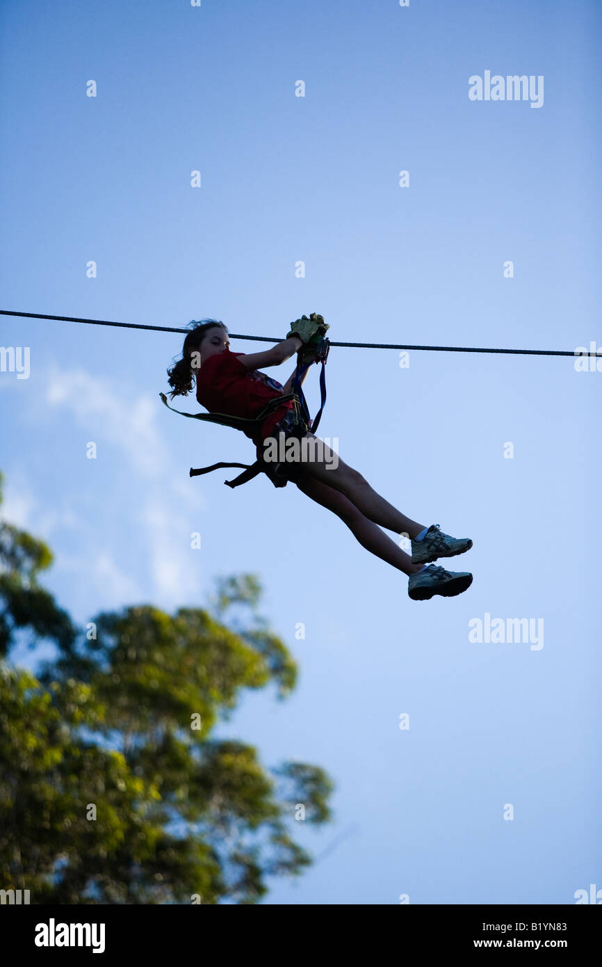Person on a high flying fox wire in Queensland Australia Stock Photo ...