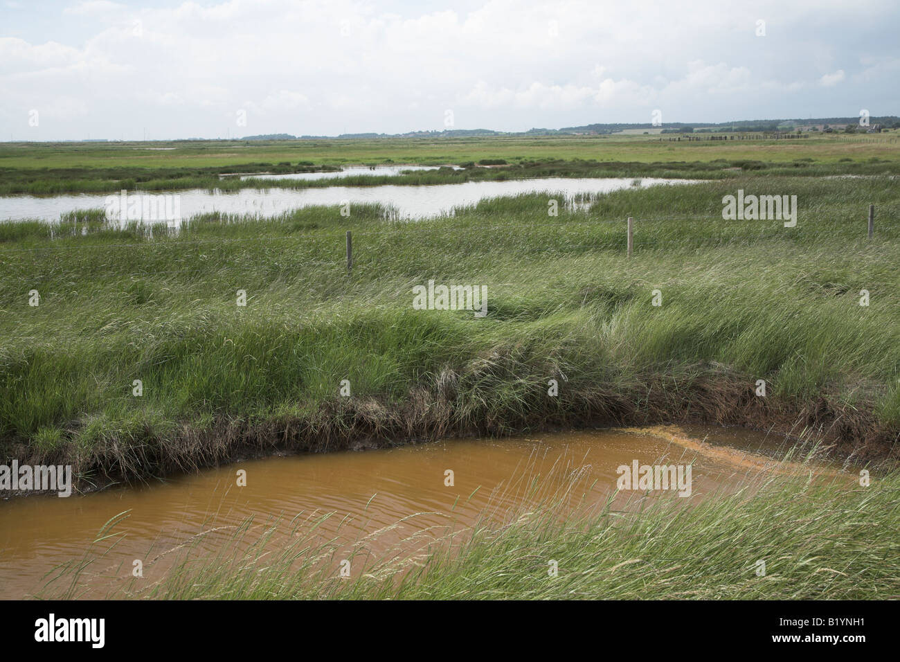 Grazing marsh suffolk hi-res stock photography and images - Alamy