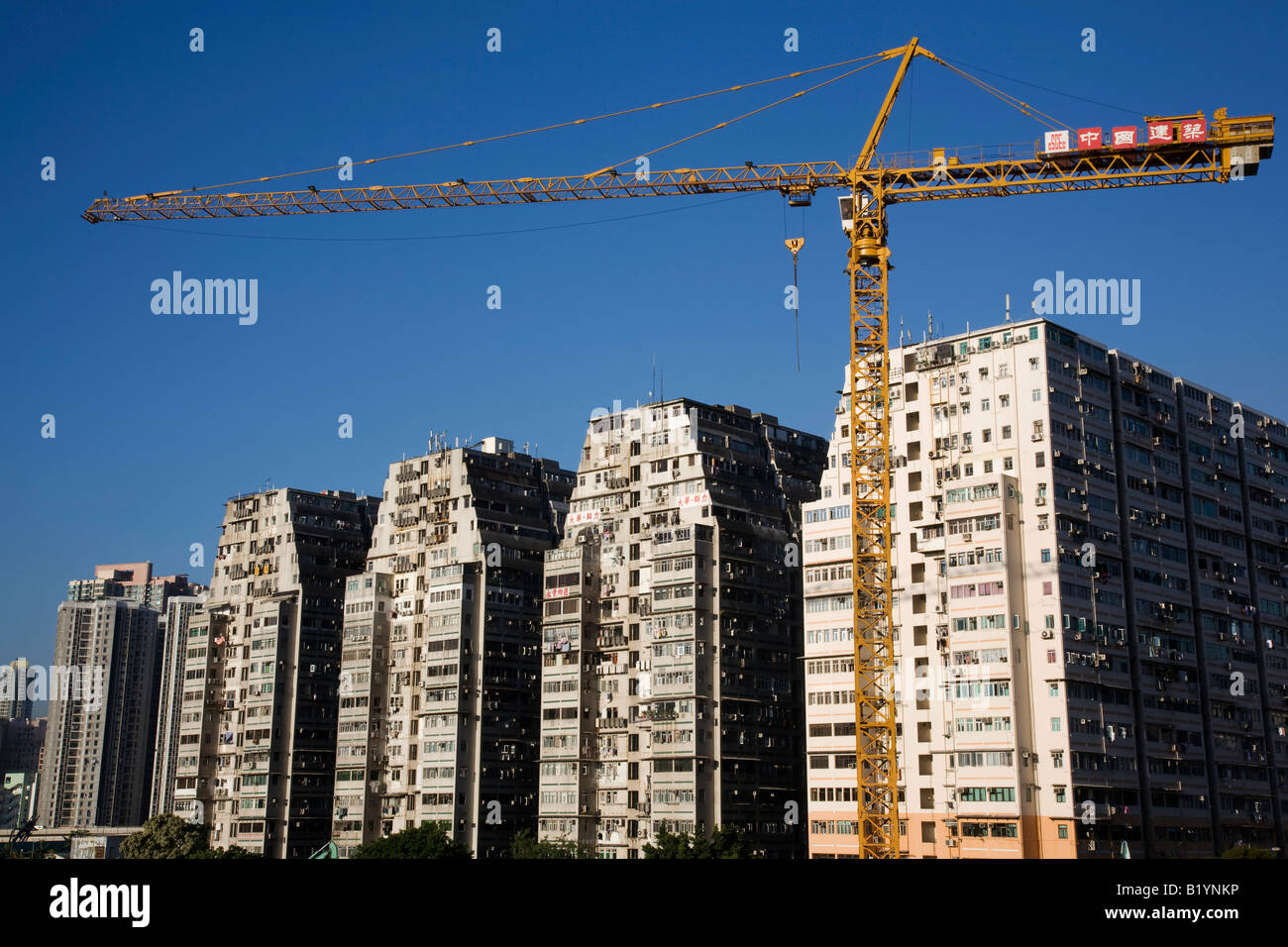Dense highrise house housing Hong Kong China Stock Photo - Alamy