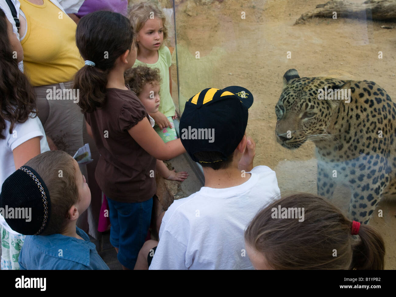 Israel Jerusalem Biblical Zoo family zoological gardens young child ...