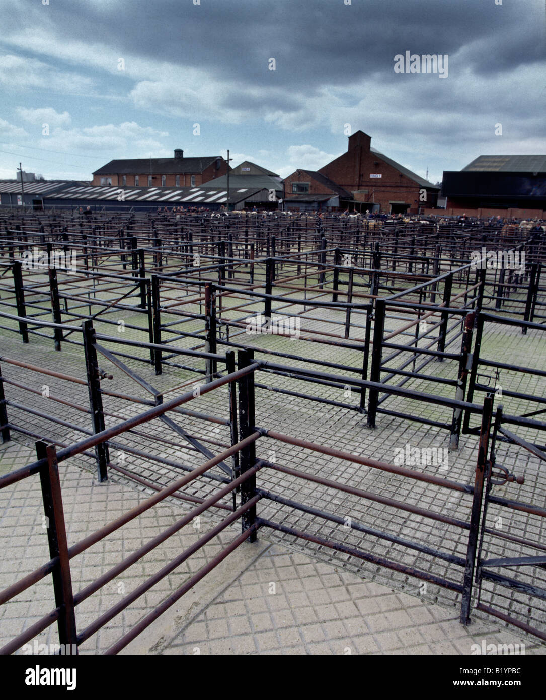 Empty Sheep Pens Stock Photos & Empty Sheep Pens Stock Images - Alamy
