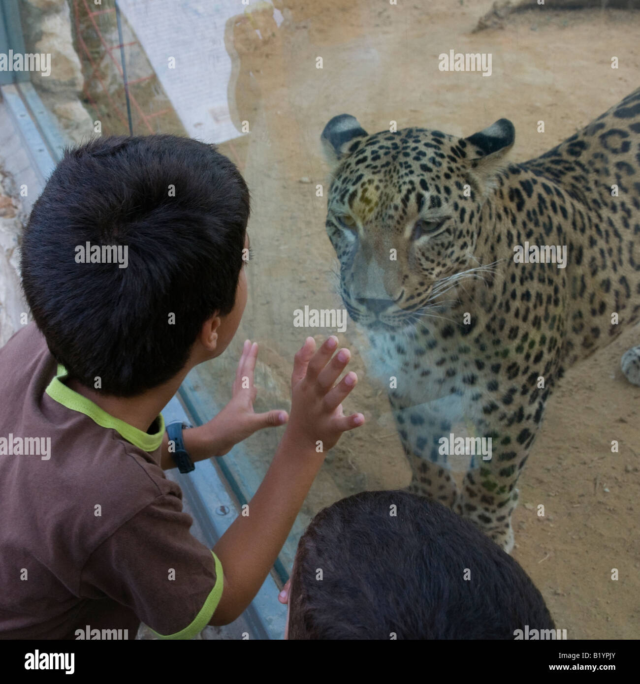 Israel Jerusalem Biblical Zoo family zoological gardens young child ...