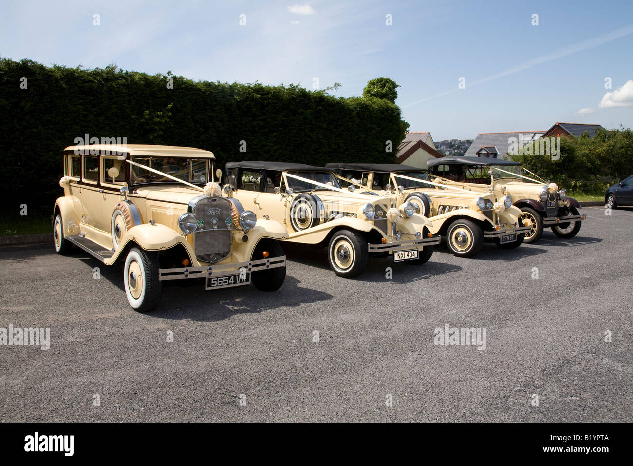 Fleet of cream vintage wedding cars. Horizontal format. 85044 Car Stock ...