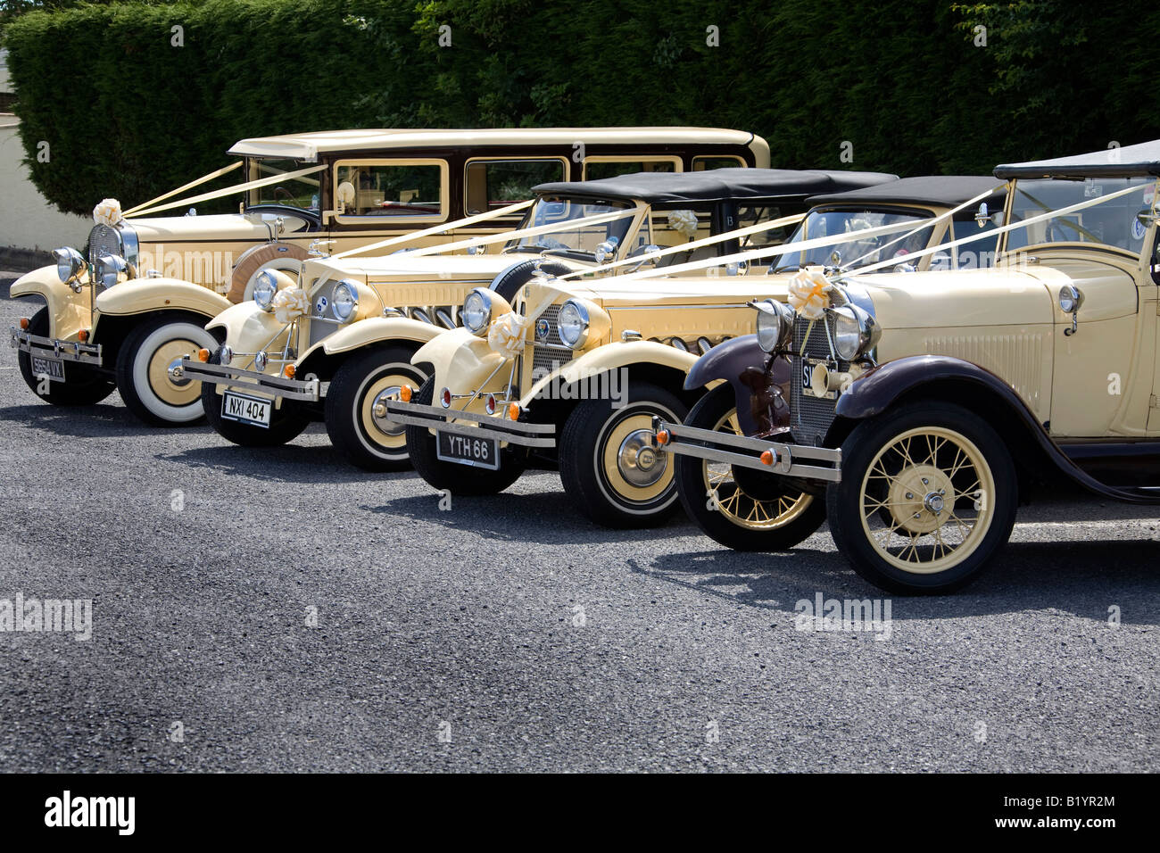 Fleet of cream vintage wedding cars. Horizontal format. 85044 Car Stock ...