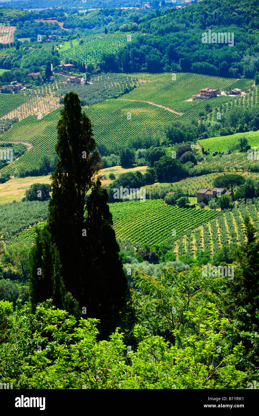 Field tuscany hi-res stock photography and images - Alamy