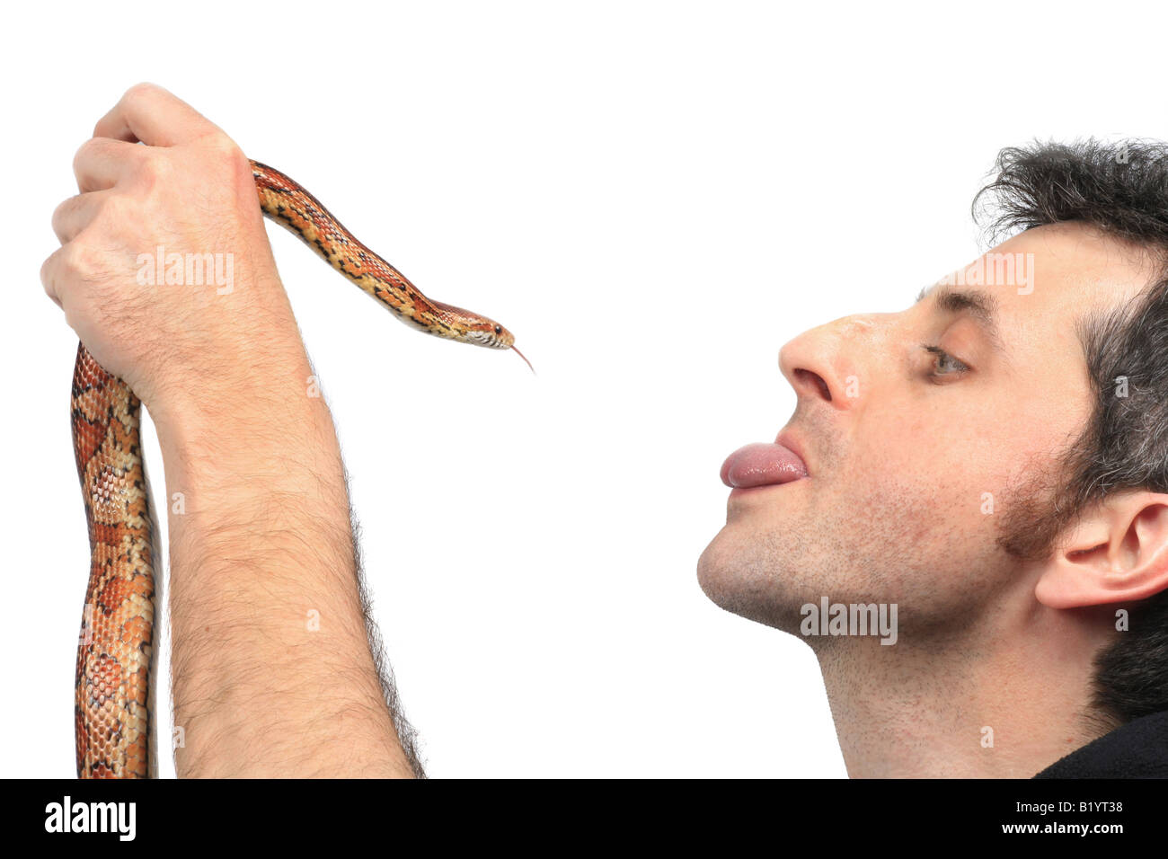 Man with snake tongue hi-res stock photography and images - Alamy