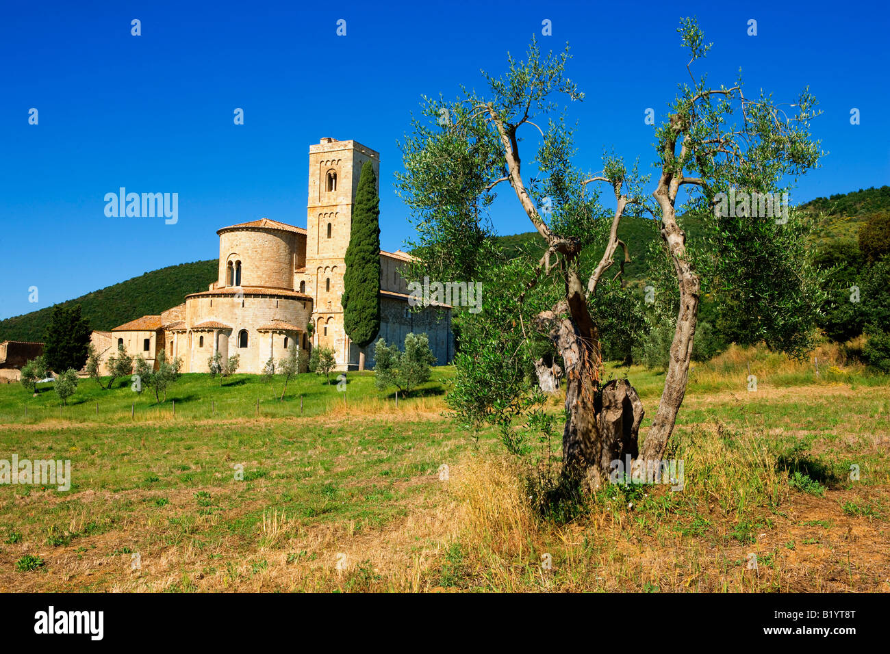 San antimo abbey in tuscany Stock Photo - Alamy