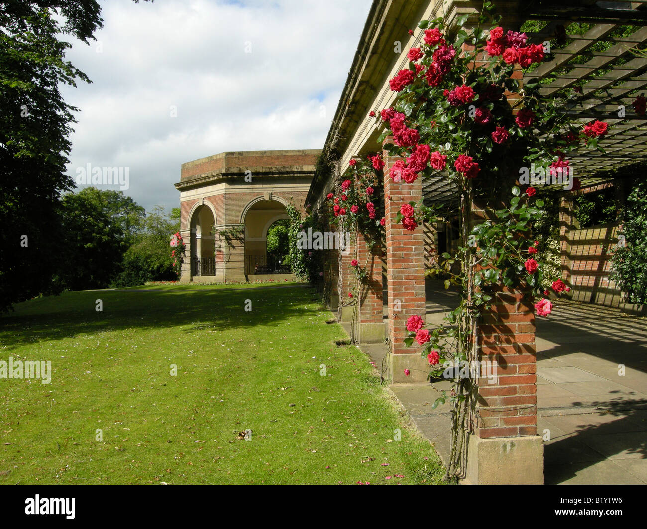 roses decorating a pillar in valley gardens harrogate Stock Photo - Alamy
