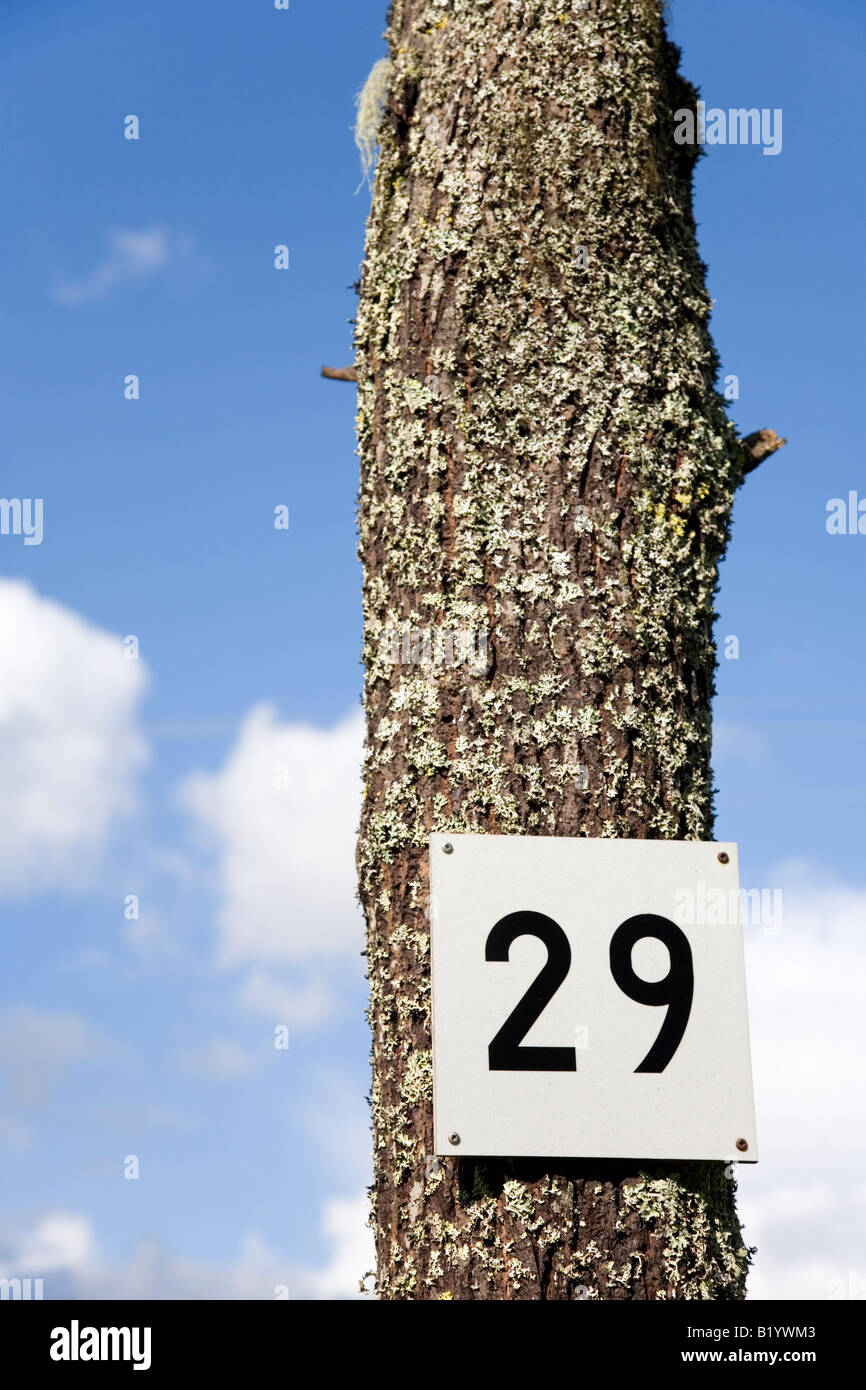 Address tag on tree trunk Stock Photo - Alamy