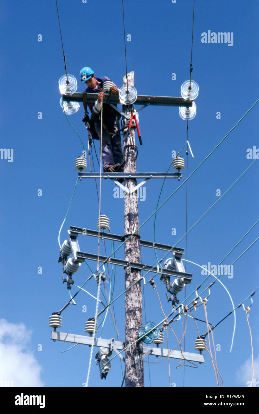 Guy wire pole hi-res stock photography and images - Alamy