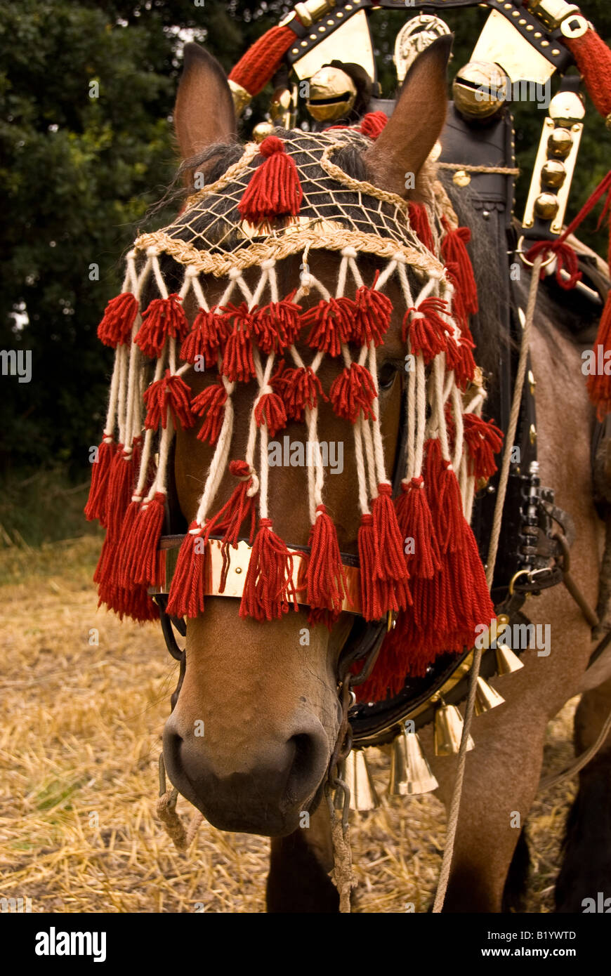 Traditional dress of harvesting horse Stock Photo - Alamy