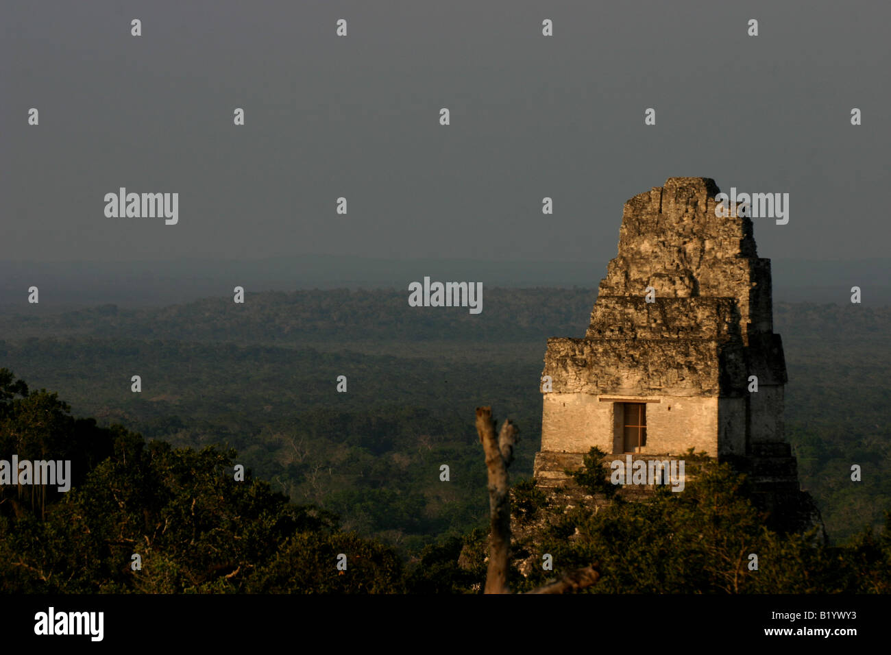 Temple 1 as seen from Mundo Perdido, Tikal National Park, Guatemala ...