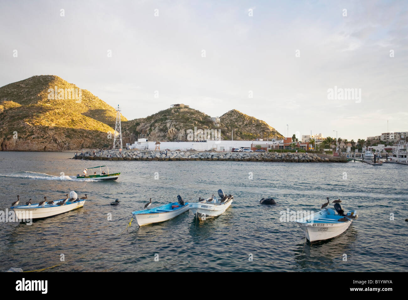 Boats moterboats outboard motor hi-res stock photography and images - Alamy