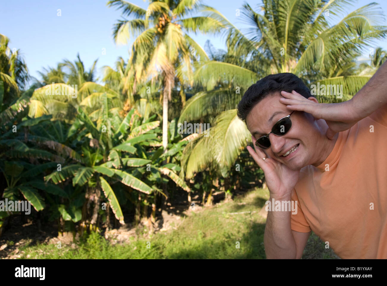 Landscape with palm trees comical Stock Photo - Alamy
