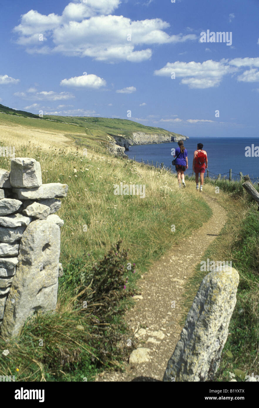 Coast path near Swanage in Dorset England UK Stock Photo - Alamy