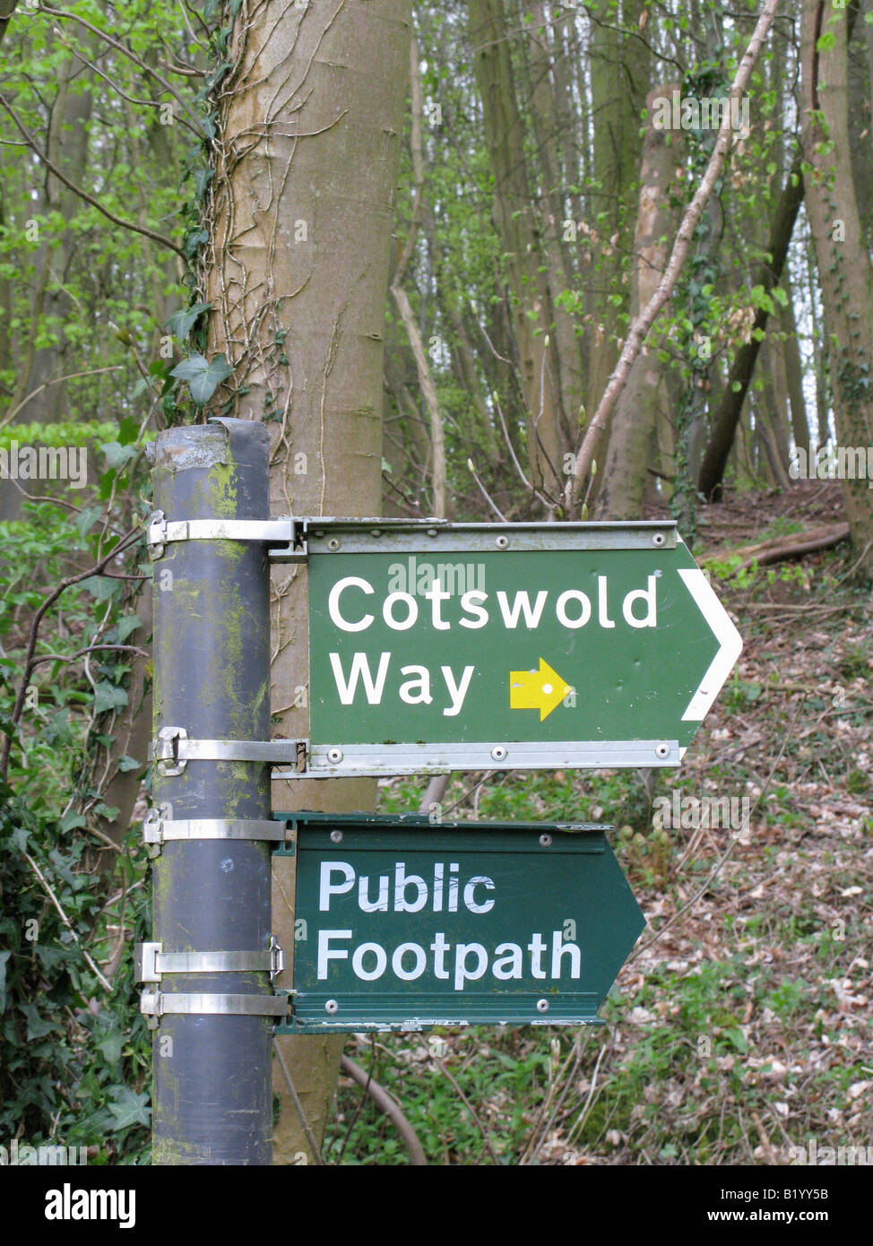 Cotswold Way and Public Footpath signpost, Cotswolds, Gloucestershire ...