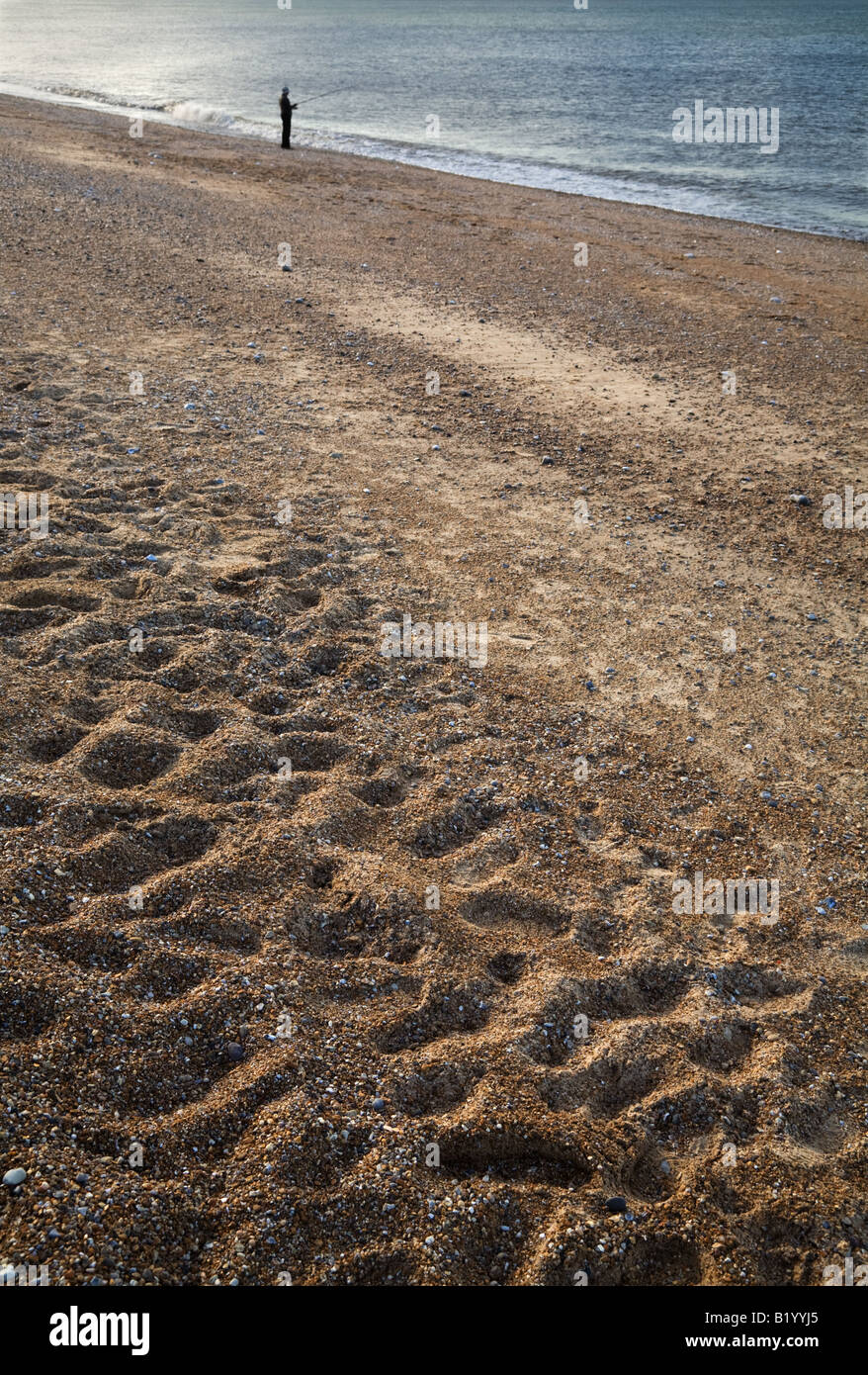 The shingle shore at Blakeney North Norfolk coast Stock Photo - Alamy