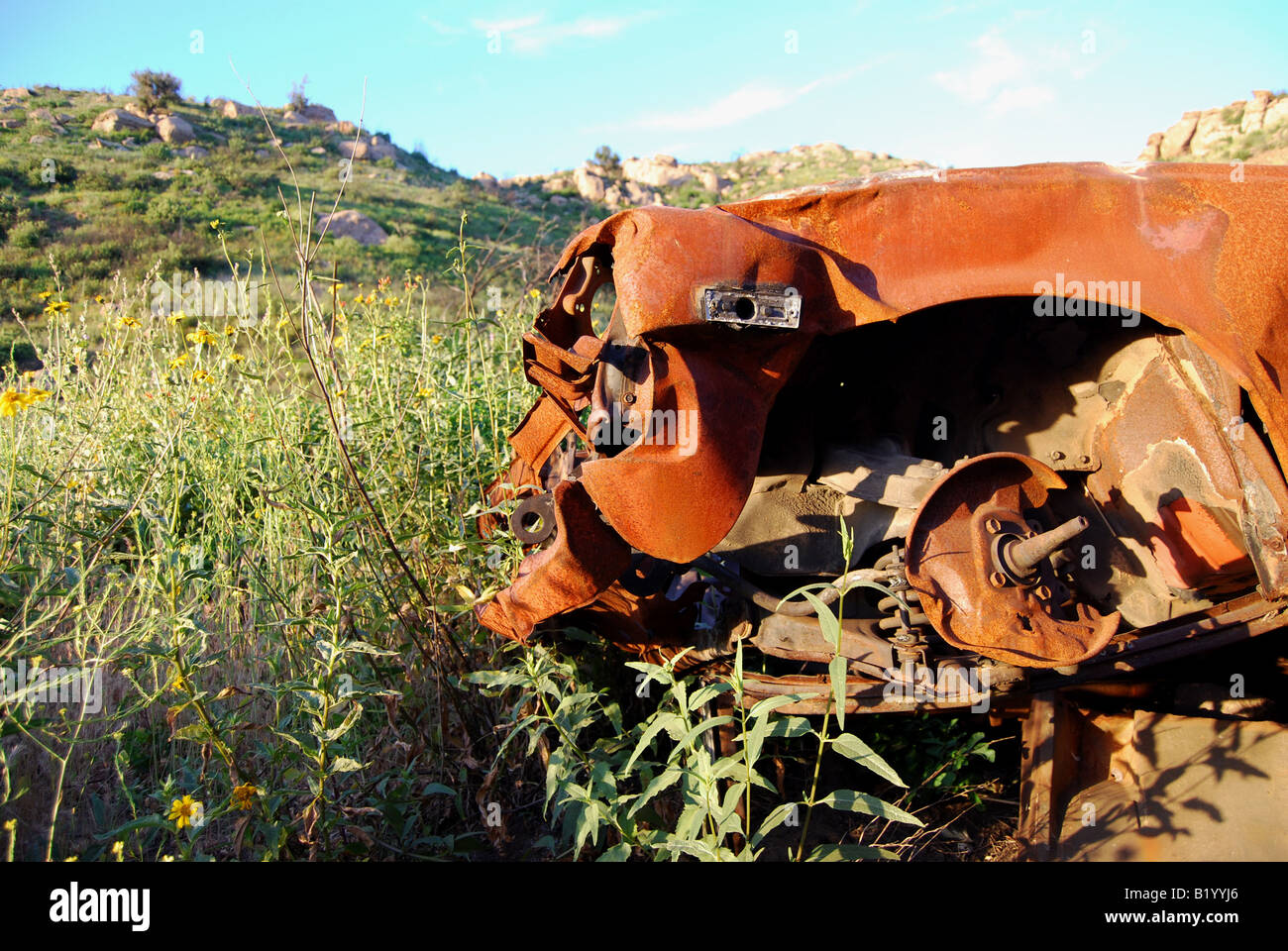 Old Rusted Car in a Field Stock Photo - Alamy