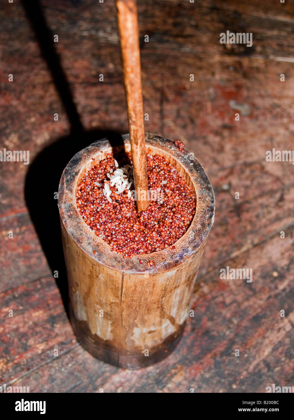 tongba the fermented millet drink popular in Sikkim Bhutan and Nepal in ...