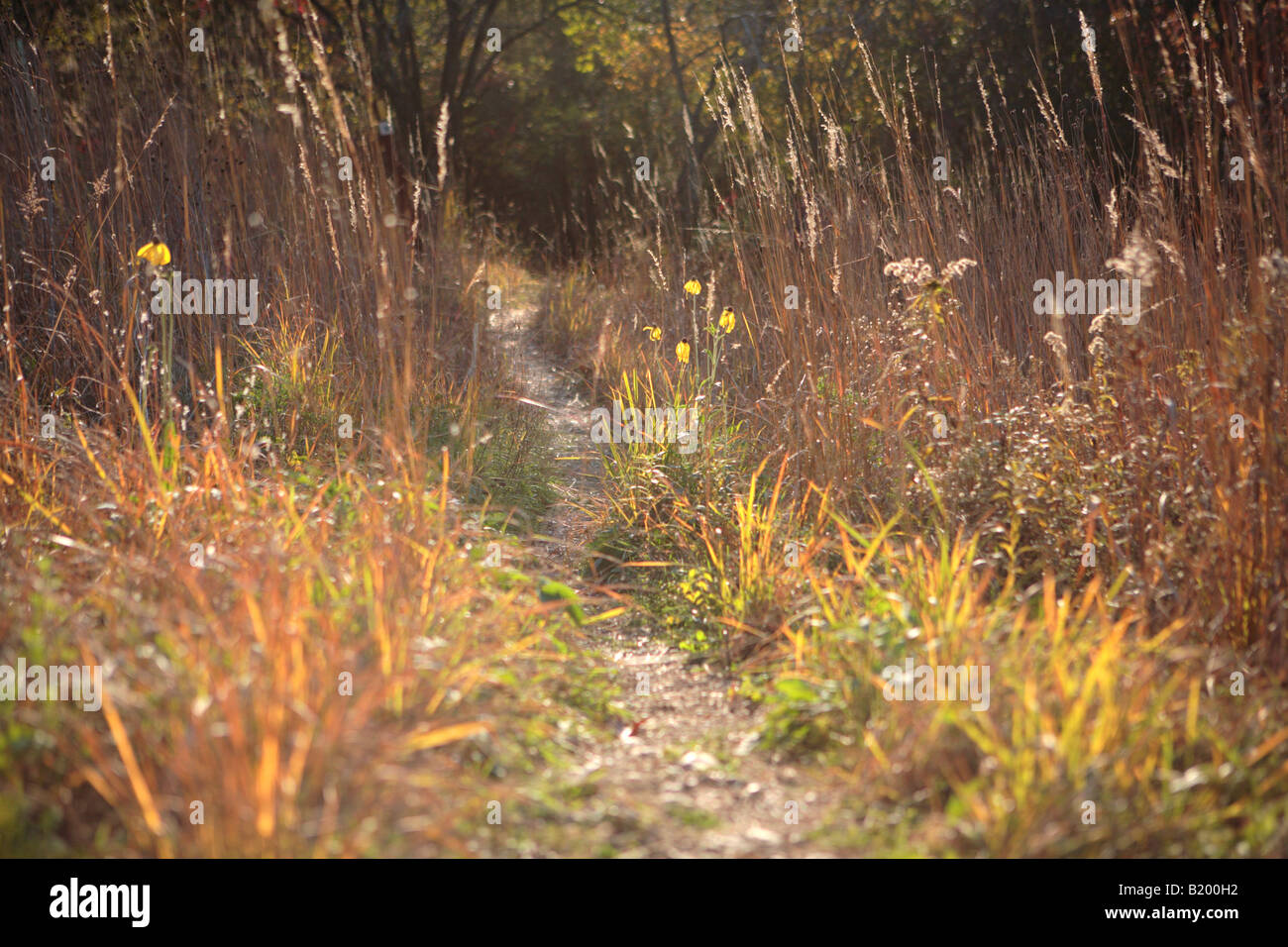 Kettle moraine scenic drive hi-res stock photography and images - Alamy