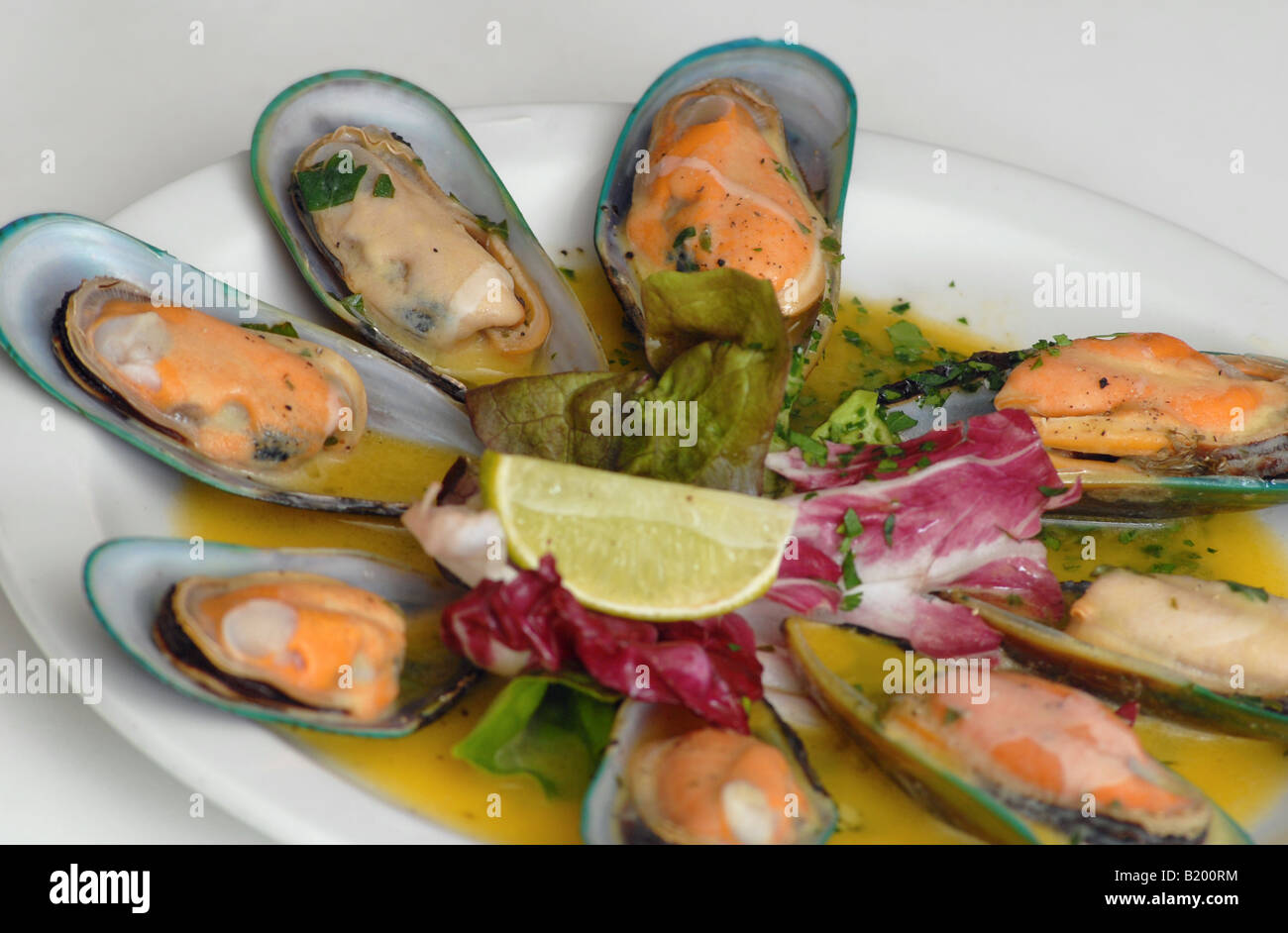 New Zealand Mussels on plate in Italian Restaurant Stock Photo - Alamy