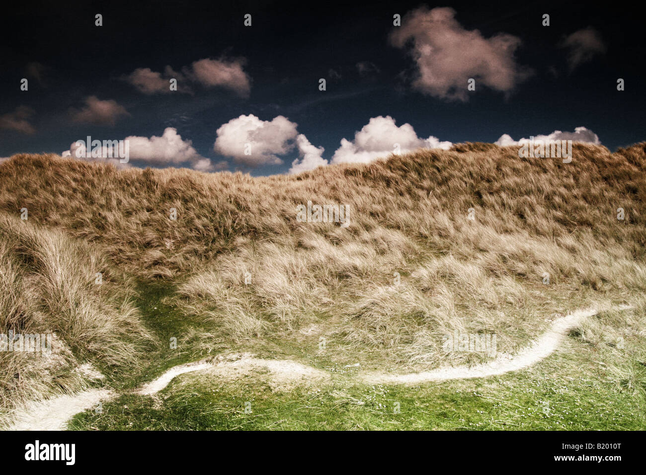 Sand Pathway High Resolution Stock Photography and Images - Alamy