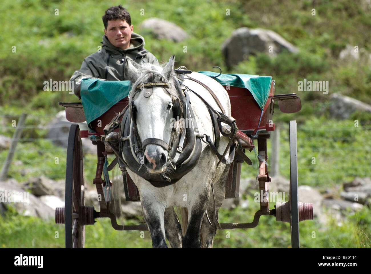 Ireland Horse Carriage High Resolution Stock Photography and Images - Alamy